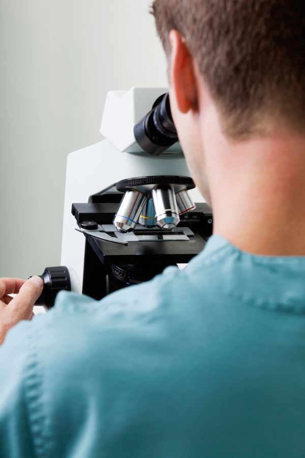 daisy hill vet microscope - Daisy Hill Veterinary Clinic