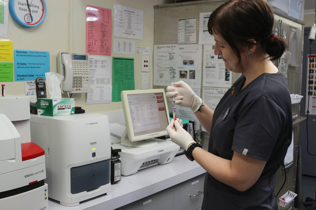 Clinic Tour - Daisy Hill Veterinary Clinic